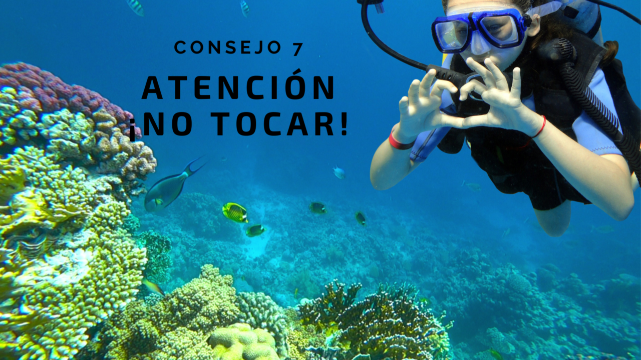 10 Consejos para cuando vayas a la playa - Doctor Agua - Líderes en ...